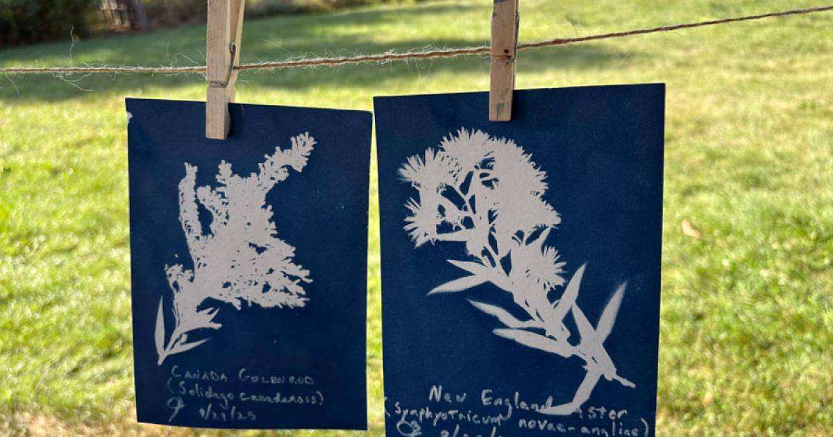 Campus gallery opens new photographic art exhibit with reception set ...